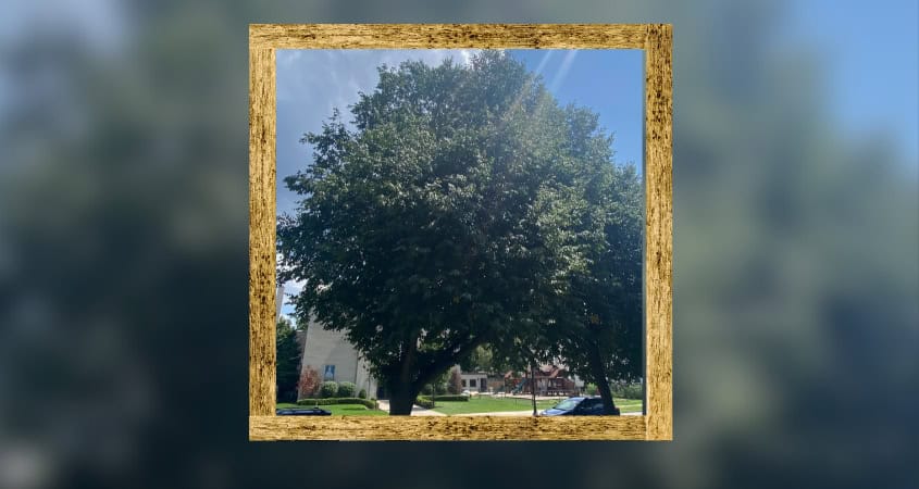 Lesson from the Linwood - Ignatian Solidarity Network