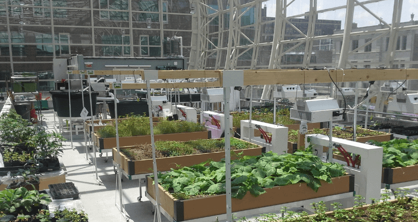 Jesuit Ecology Leaders to Gather in Chicago for Landmark Assembly ...