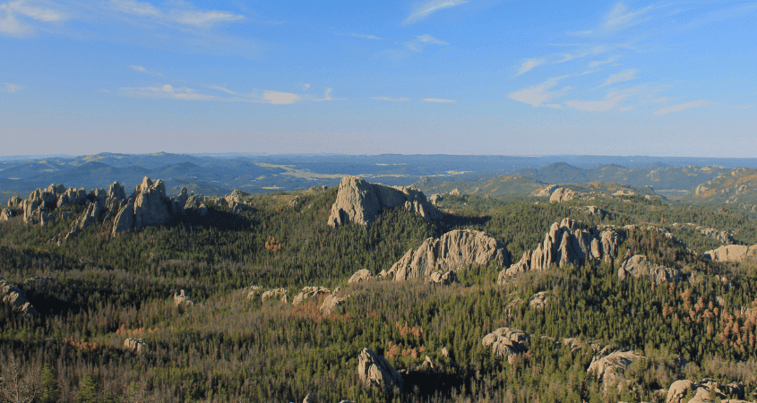 A Strong Driving Wind - Ignatian Solidarity Network